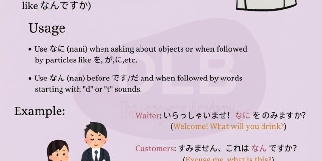 Mastering Japanese Question Words: A Detailed Guide