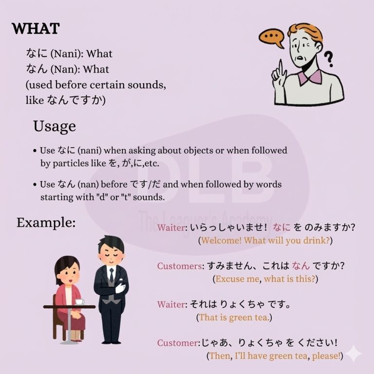 Mastering Japanese Question Words: A Detailed Guide